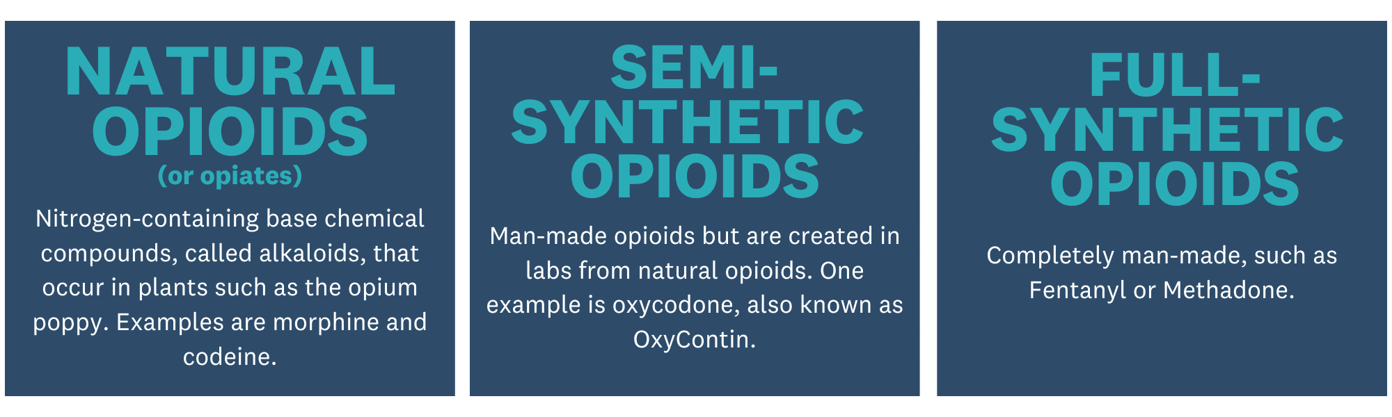 Prescription Opioids 101 - SAFE Project