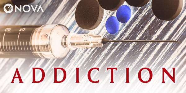 Free & Online: NOVA/PBS Documentary "ADDICTION" - SAFE Project